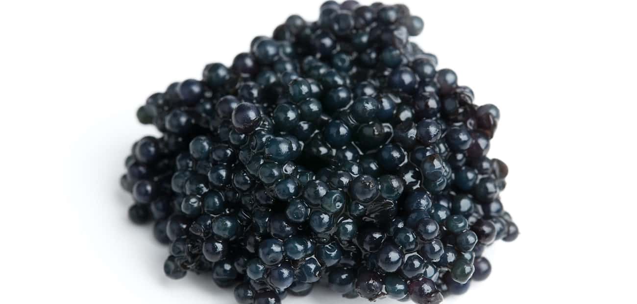 Why Caviar is the Ultimate Anti-Aging Secret: The Science Behind ...